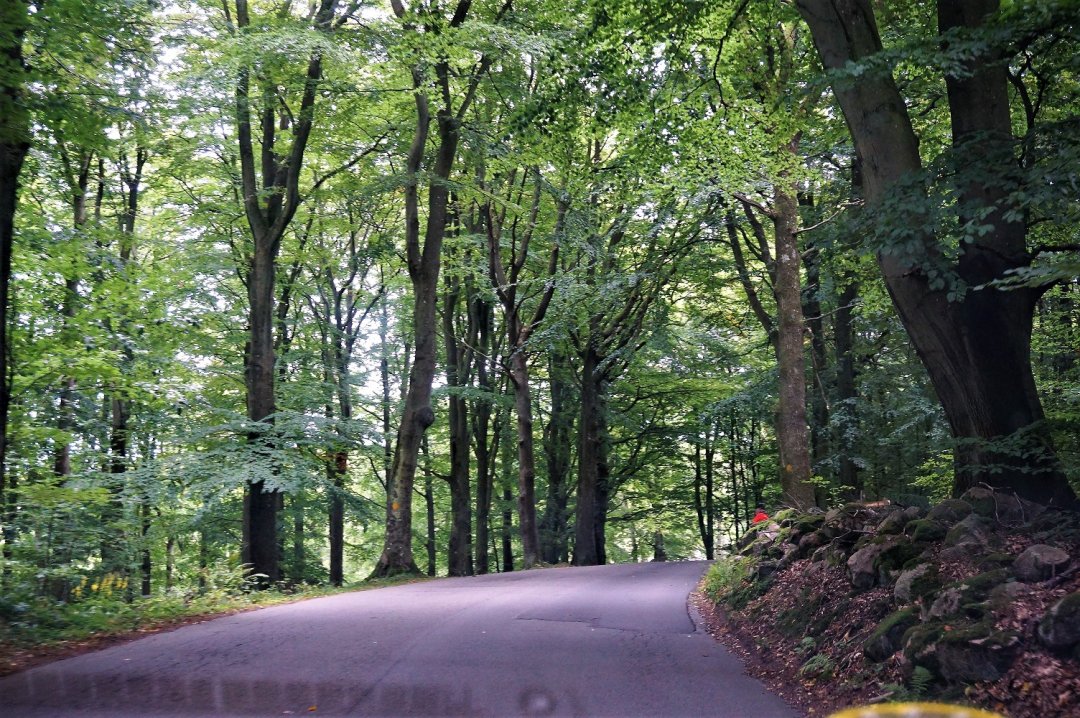 A Day Drive from Lund - Sweden - Leisurely Drives